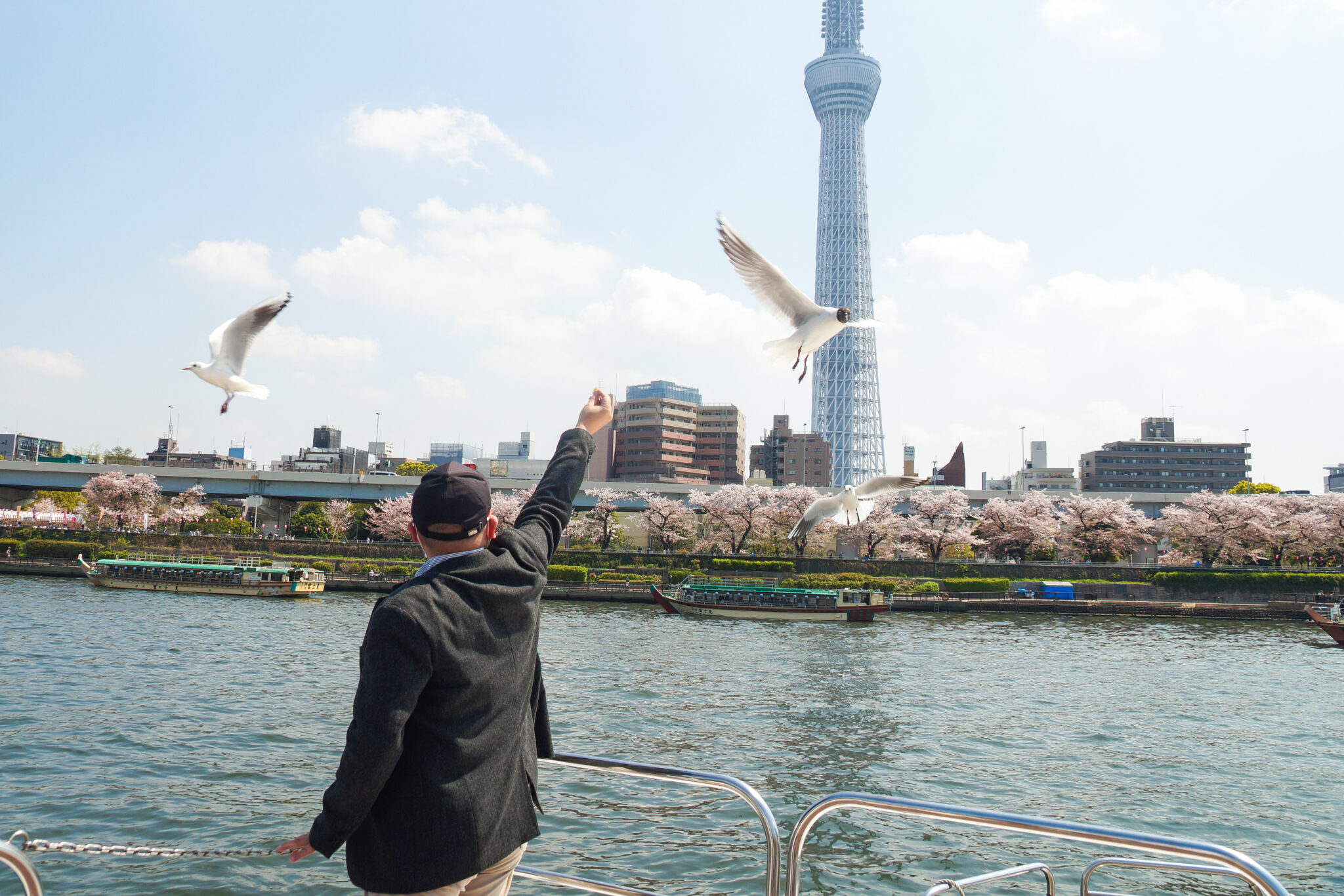 Sumida River Cruising | Private Cruises on Tokyo Bay Anniversary Cruises